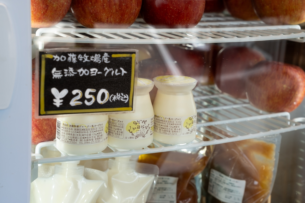 日本宮崎美食｜Ringo x Ame青森直送最新鮮蘋果製作蘋果飴(蘋果糖)，小林市當地熱門排隊甜點名店(リンゴカケルアメ) @歐拉。旅行不孤單